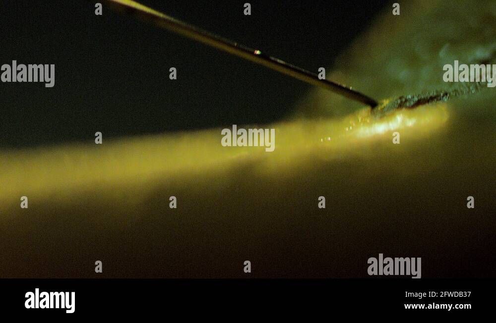 Fake arm Stock Videos & Footage - HD and 4K Video Clips - Alamy