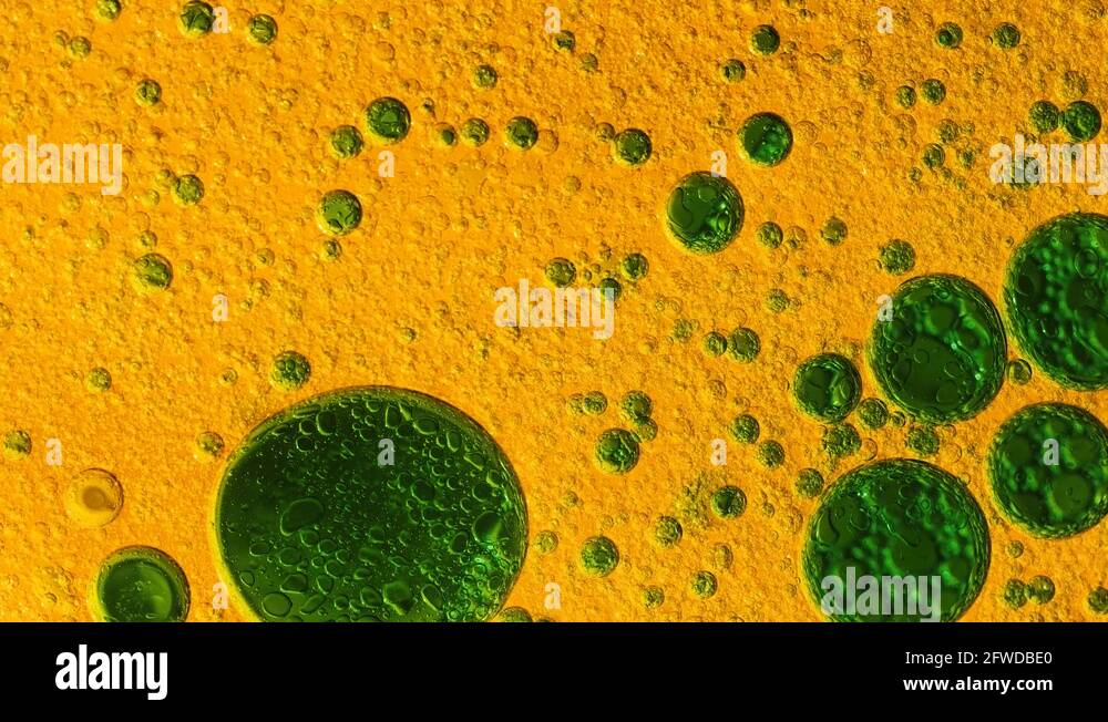 Water refraction experiment Stock Videos & Footage - HD and 4K Video ...