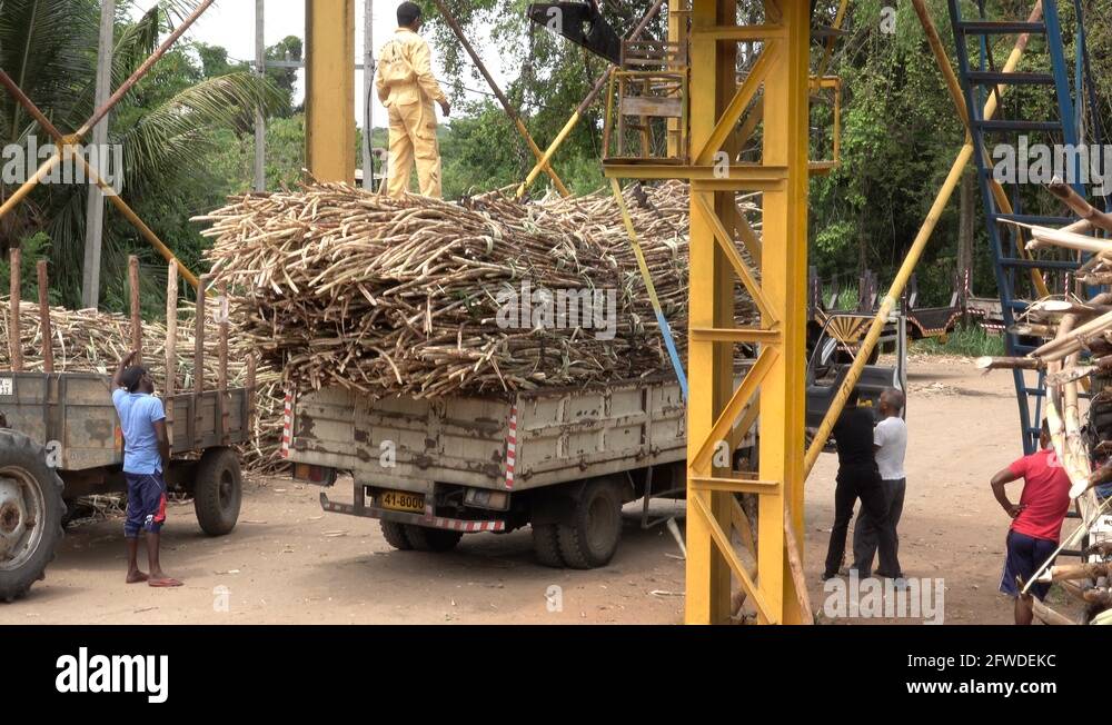 Truck loading facility Stock Videos & Footage - HD and 4K Video Clips ...