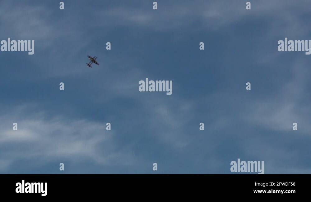 Single wing Stock Videos & Footage - HD and 4K Video Clips - Alamy