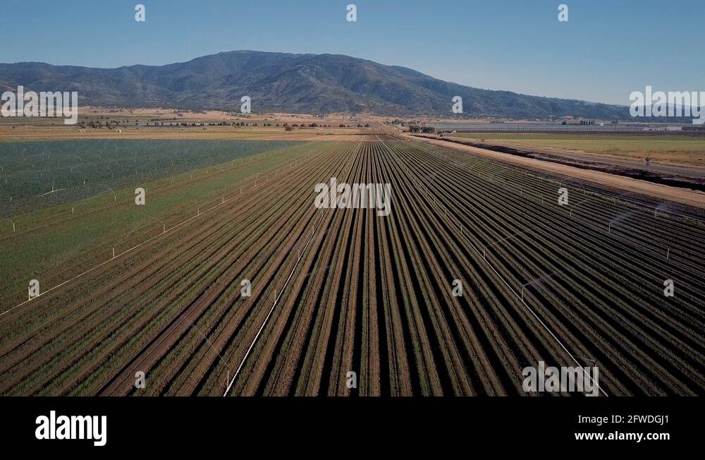 Farm irrigation rows Stock Videos & Footage - HD and 4K Video Clips - Alamy