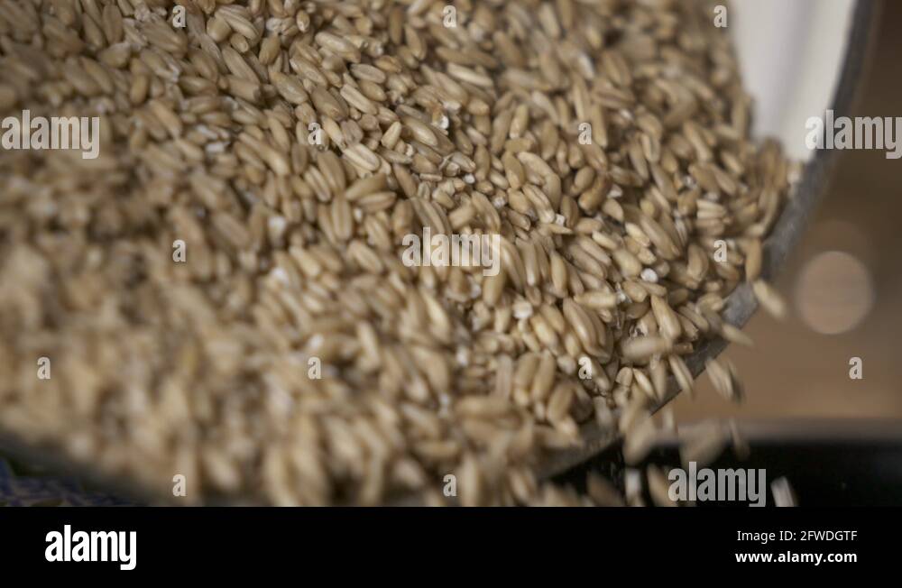 Box porridge Stock Videos & Footage - HD and 4K Video Clips - Alamy