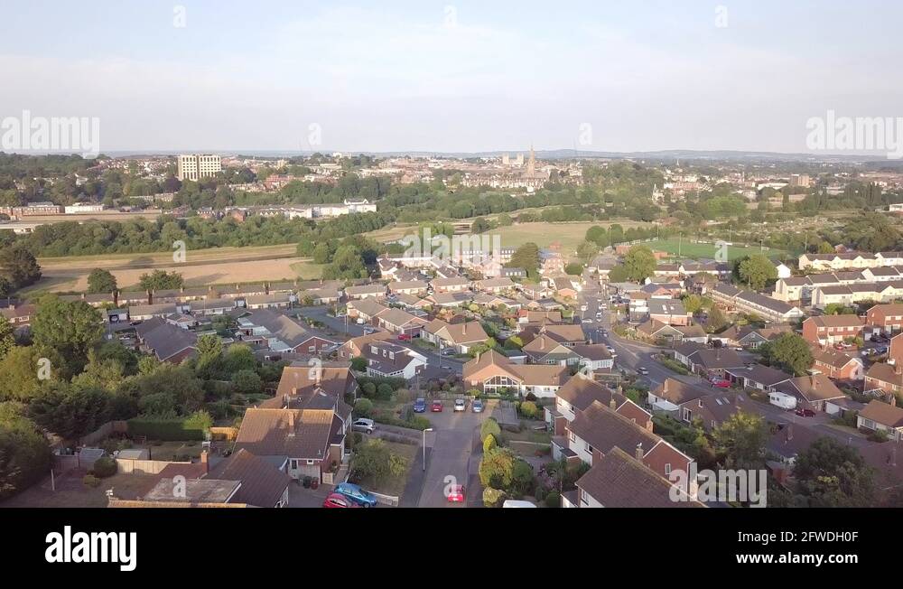 English summer birds Stock Videos & Footage - HD and 4K Video Clips - Alamy