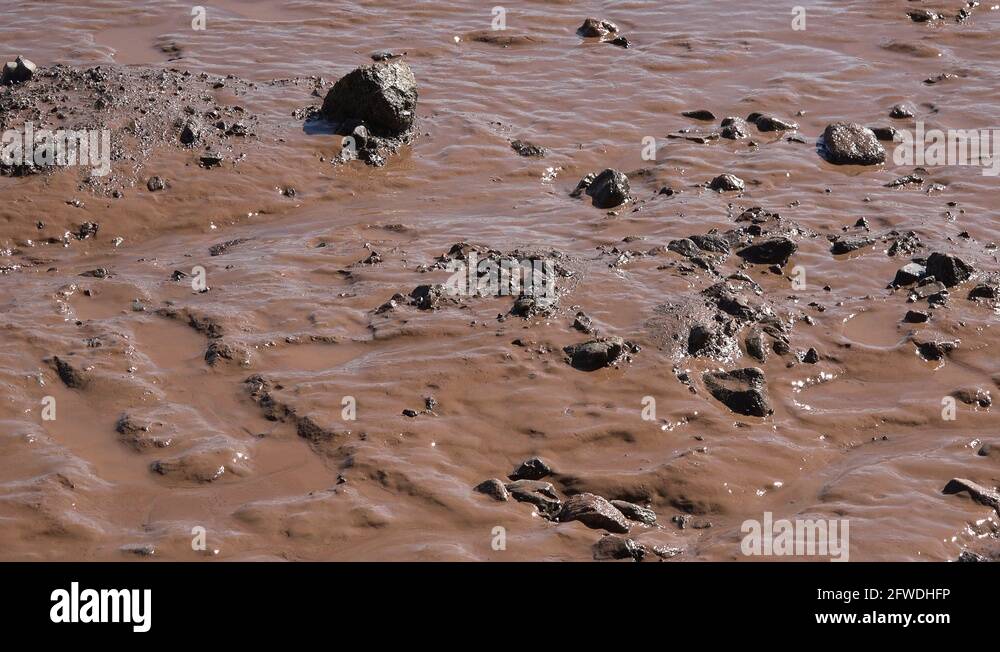 Tidal cycle Stock Videos & Footage - HD and 4K Video Clips - Alamy