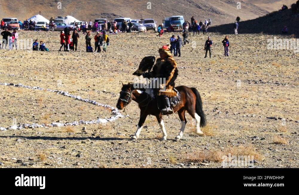 Trained eagles Stock Videos & Footage - HD and 4K Video Clips - Alamy