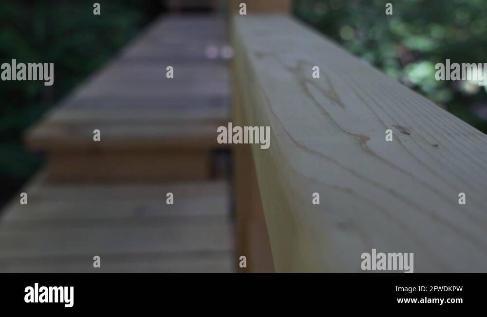 Moving over a hand rail of a footbridge in the temperate rain forest on ...