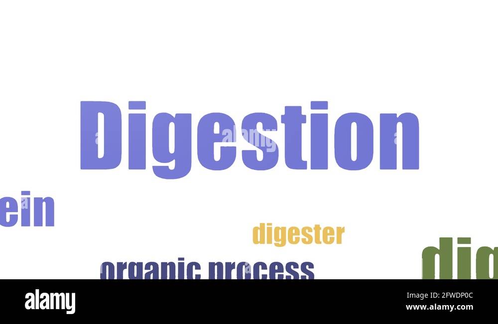 Digestion Word Cloud Animated On White Background Stock Video Footage ...