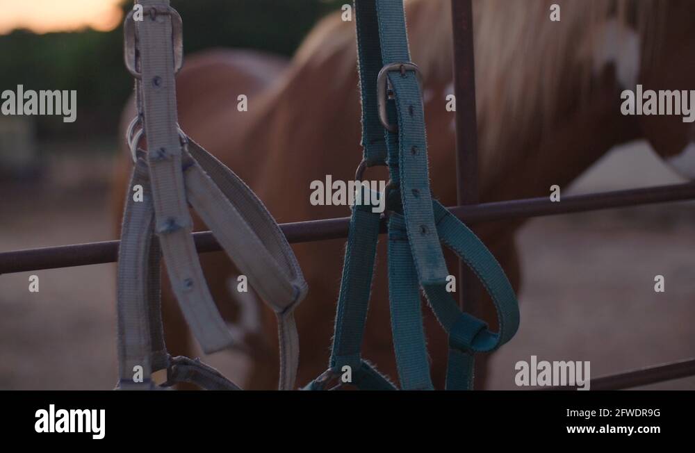 The rusty saddle Stock Videos & Footage - HD and 4K Video Clips - Alamy