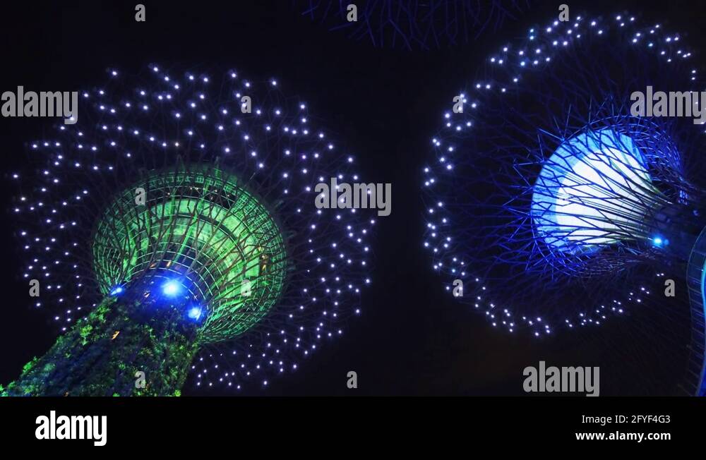 Fantastic trees Stock Videos & Footage - HD and 4K Video Clips - Alamy