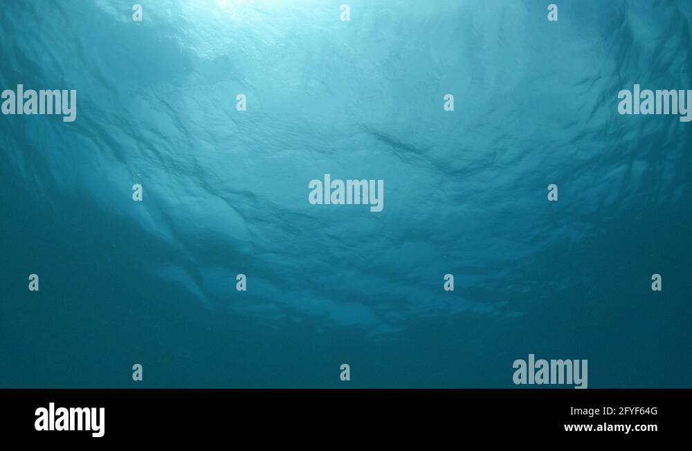 UNDERWATER: Bright summer sun rays illuminate the quiet emerald colored ...