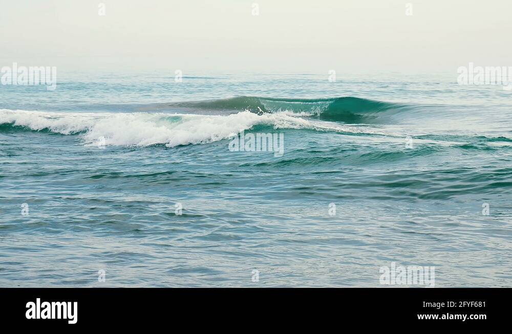 Shimmer sea Stock Videos & Footage - HD and 4K Video Clips - Alamy