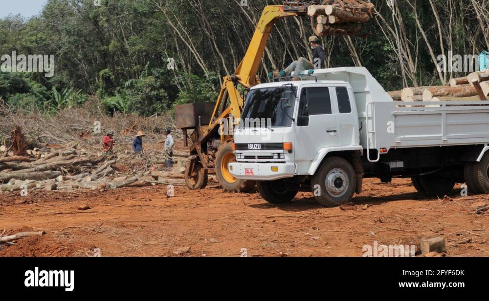 Amazon truck logging Stock Videos & Footage - HD and 4K Video Clips - Alamy