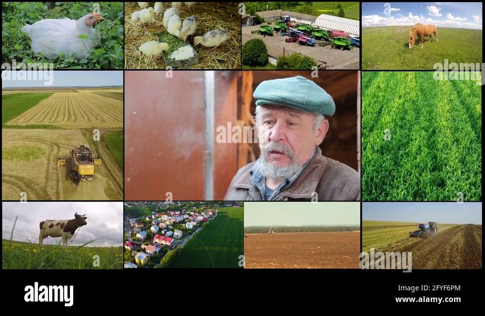 Combining crops Stock Videos & Footage - HD and 4K Video Clips - Alamy