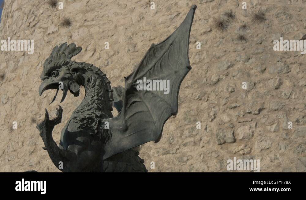 Animal wings Stock Videos & Footage - HD and 4K Video Clips - Alamy