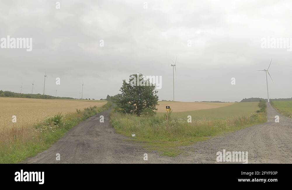 Two roads fork Stock Videos & Footage - HD and 4K Video Clips - Alamy