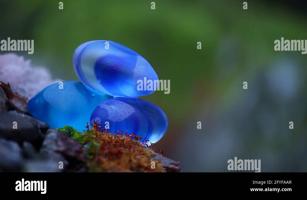 Stone spring Stock Videos & Footage - HD and 4K Video Clips - Alamy