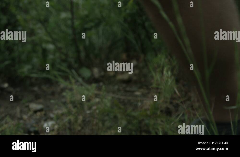 Running through frame Stock Videos & Footage - HD and 4K Video Clips ...