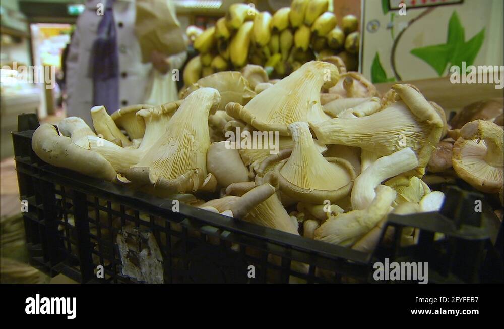 Mushroom storage Stock Videos & Footage - HD and 4K Video Clips - Alamy