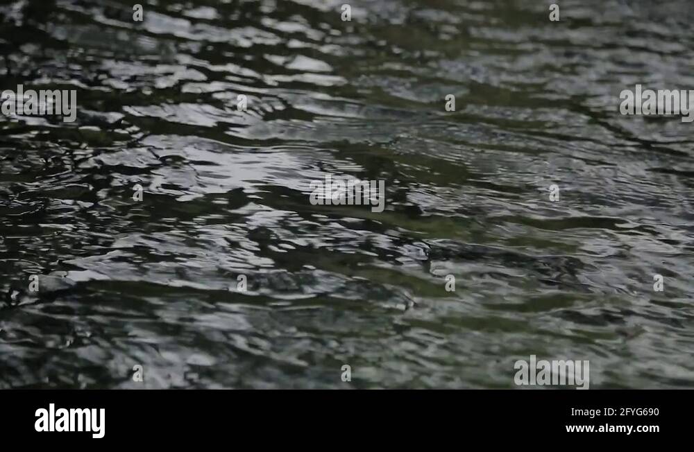 Loop the loops Stock Videos & Footage - HD and 4K Video Clips - Alamy