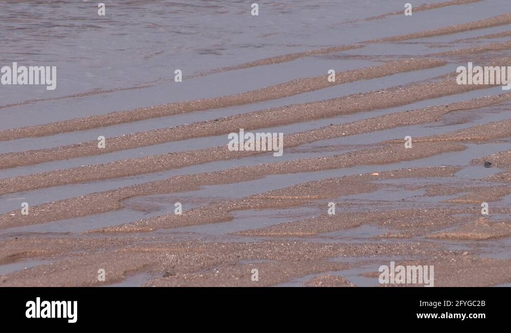 Island strand Stock Videos & Footage - HD and 4K Video Clips - Alamy