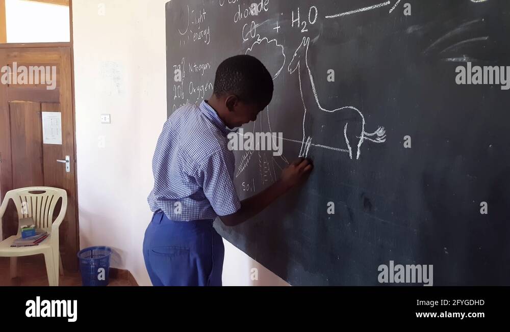 African School Boy Writing On Blackboard, Classroom Science Lesson ...
