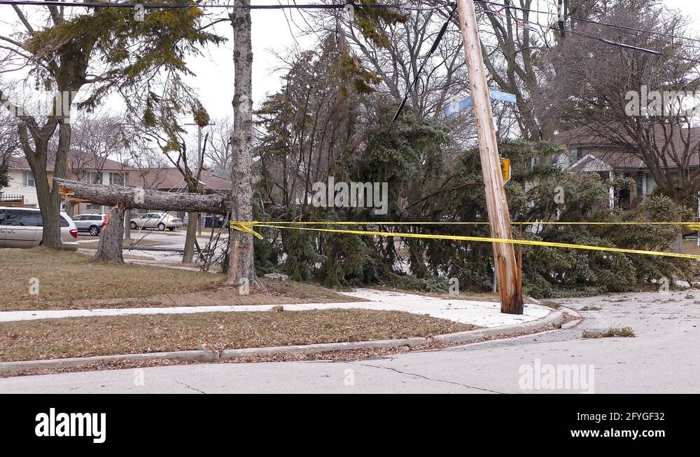 Trees and hydro power lines down as severe wind storm hits city Stock ...