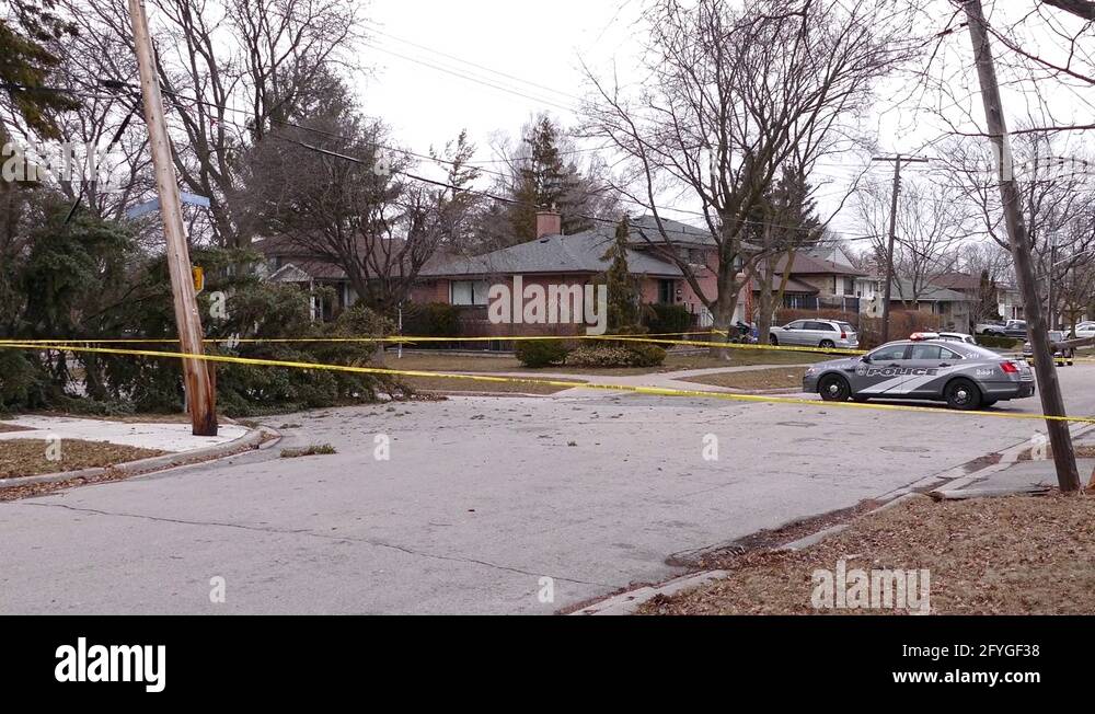 Trees and hydro power lines down as severe wind storm hits city Stock ...