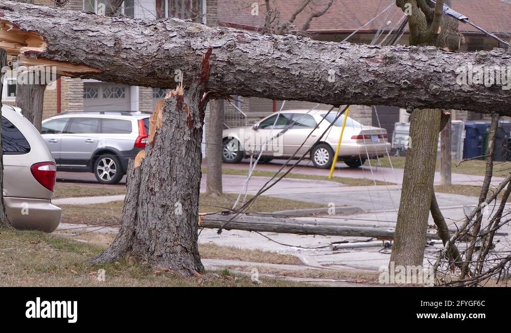 Trees and hydro power lines down as severe wind storm hits city Stock ...