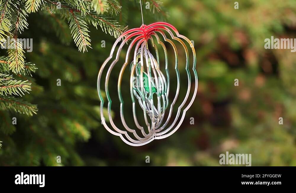 Rainbow vine Stock Videos & Footage - HD and 4K Video Clips - Alamy