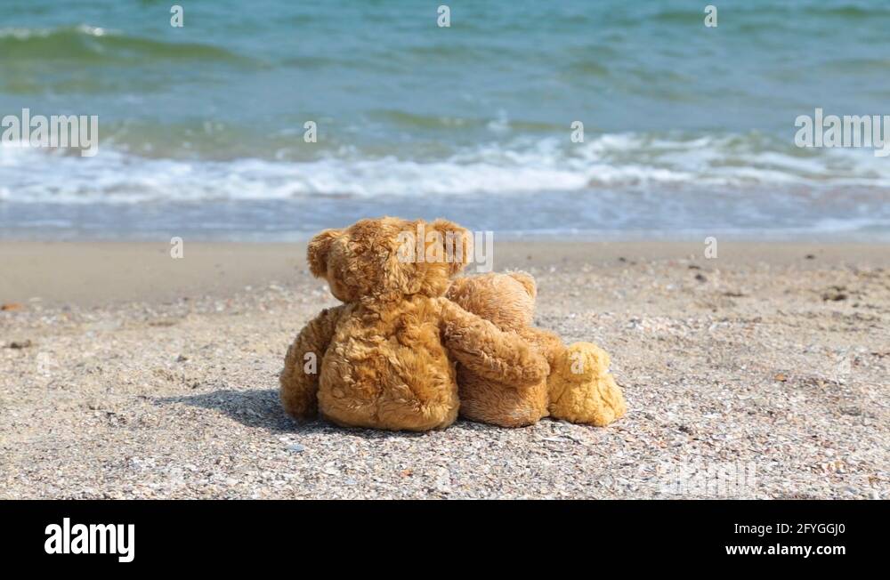 Teddy bear on vacation Stock Videos & Footage - HD and 4K Video Clips ...