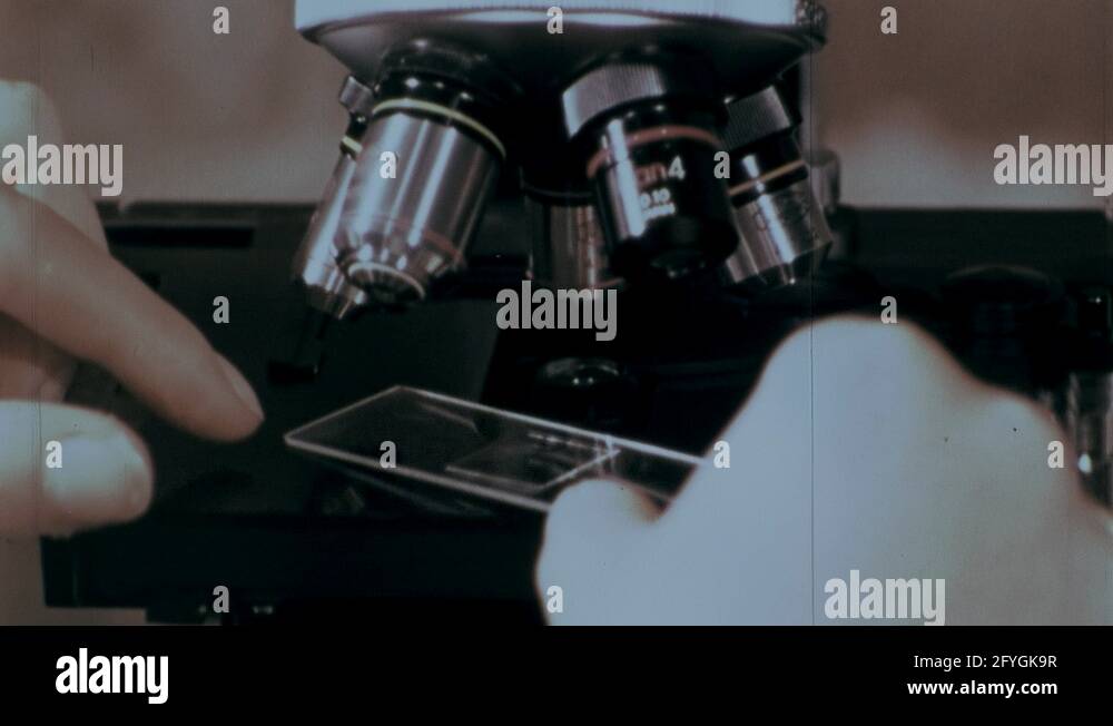 1970s Scientist Using Microscope Amoeba Under Slide Cell Microorganism ...