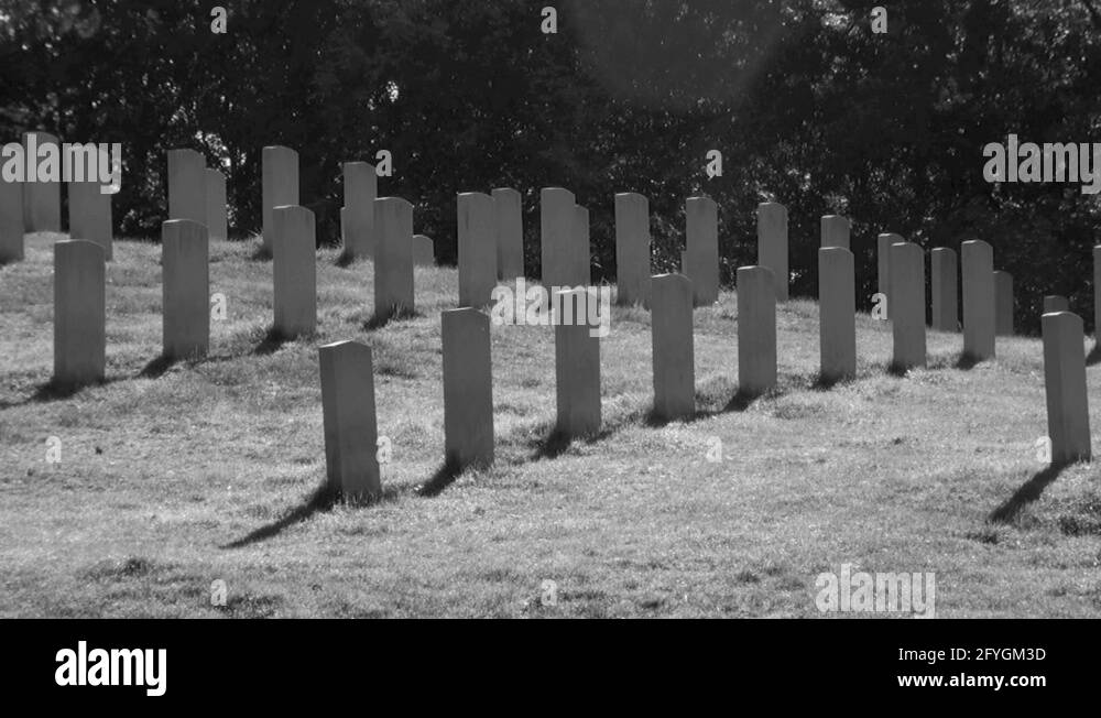 Wwii war graves Stock Videos & Footage - HD and 4K Video Clips - Alamy