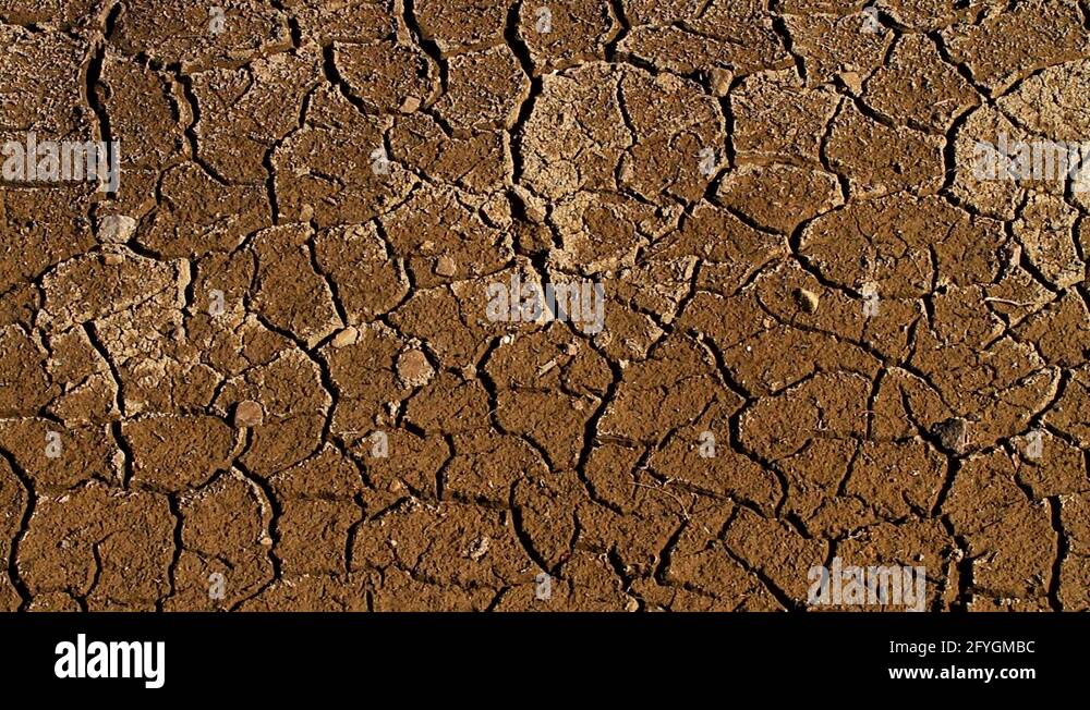 Parched Stock Videos & Footage - HD and 4K Video Clips - Alamy