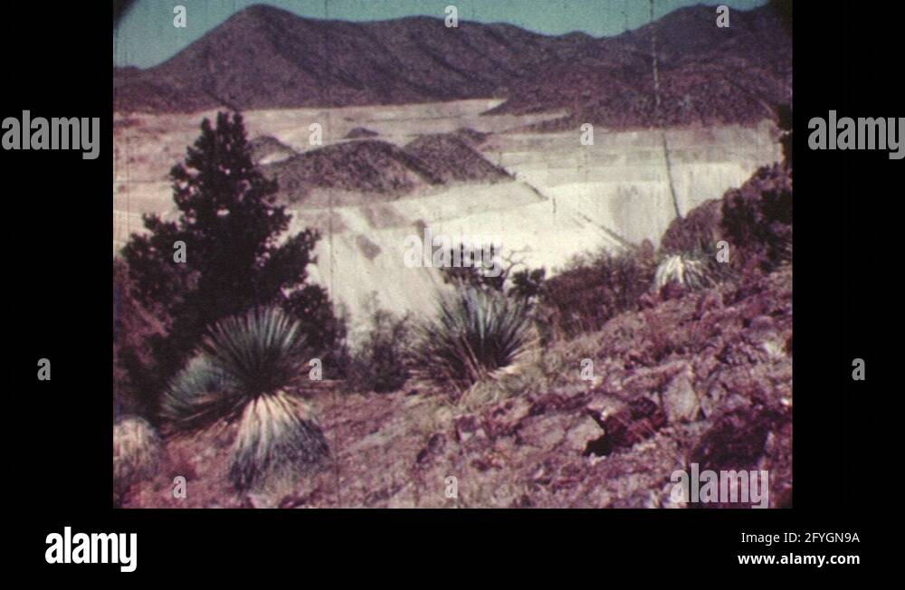 1950s: UNITED STATES: plants in desert environment. Arid environment ...