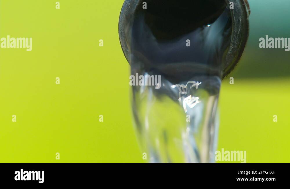 Overflow bug Stock Videos & Footage - HD and 4K Video Clips - Alamy