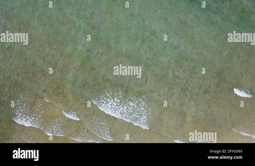 Tanon Stock Videos & Footage - HD and 4K Video Clips - Alamy