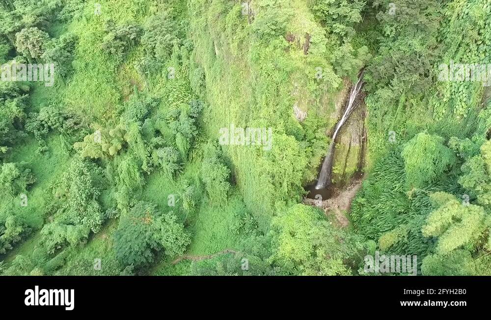Caribbean waterfalls Stock Videos & Footage - HD and 4K Video Clips - Alamy