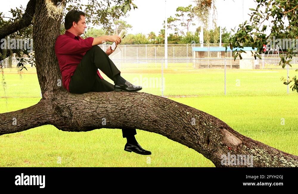 Man sitting in tree Stock Videos & Footage - HD and 4K Video Clips - Alamy