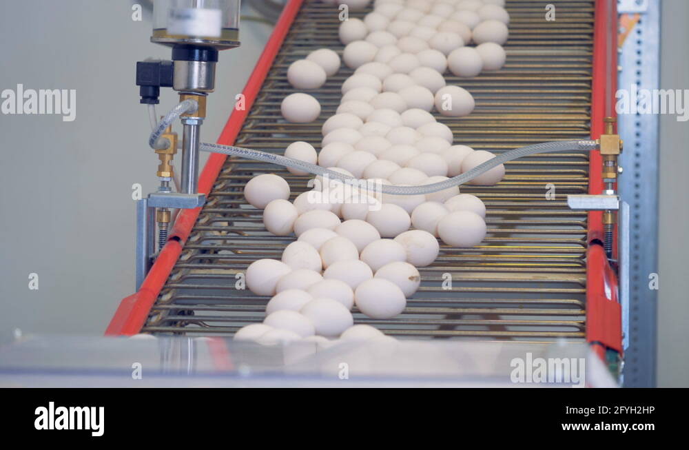 Long eggs Stock Videos & Footage - HD and 4K Video Clips - Alamy