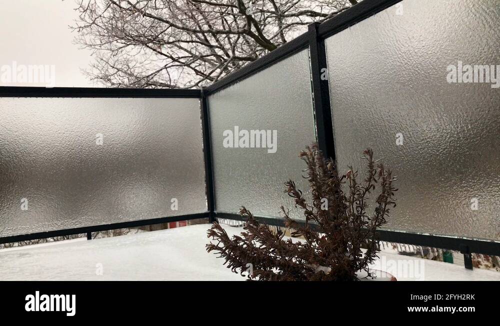 On a windy second floor balcony we see a frozen plant, ice covered ...