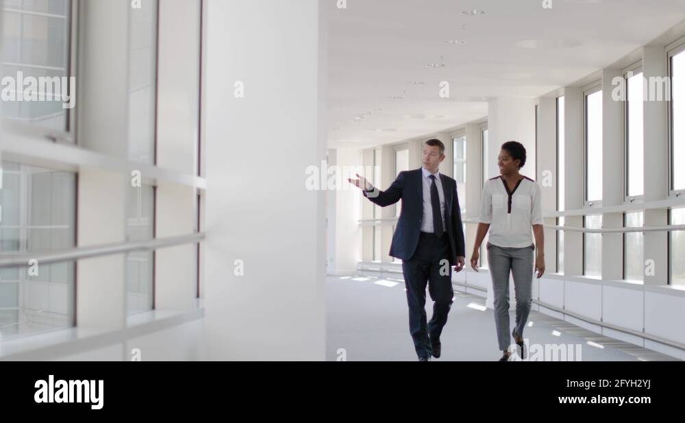 New employee office meeting Stock Videos & Footage - HD and 4K Video ...