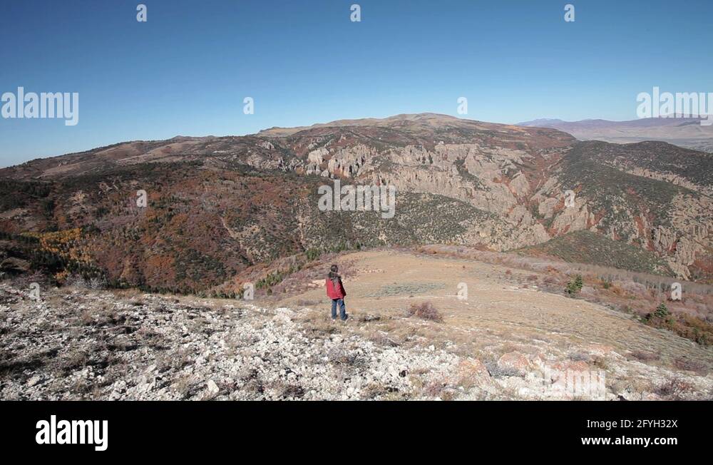 Man in awe Stock Videos & Footage - HD and 4K Video Clips - Alamy