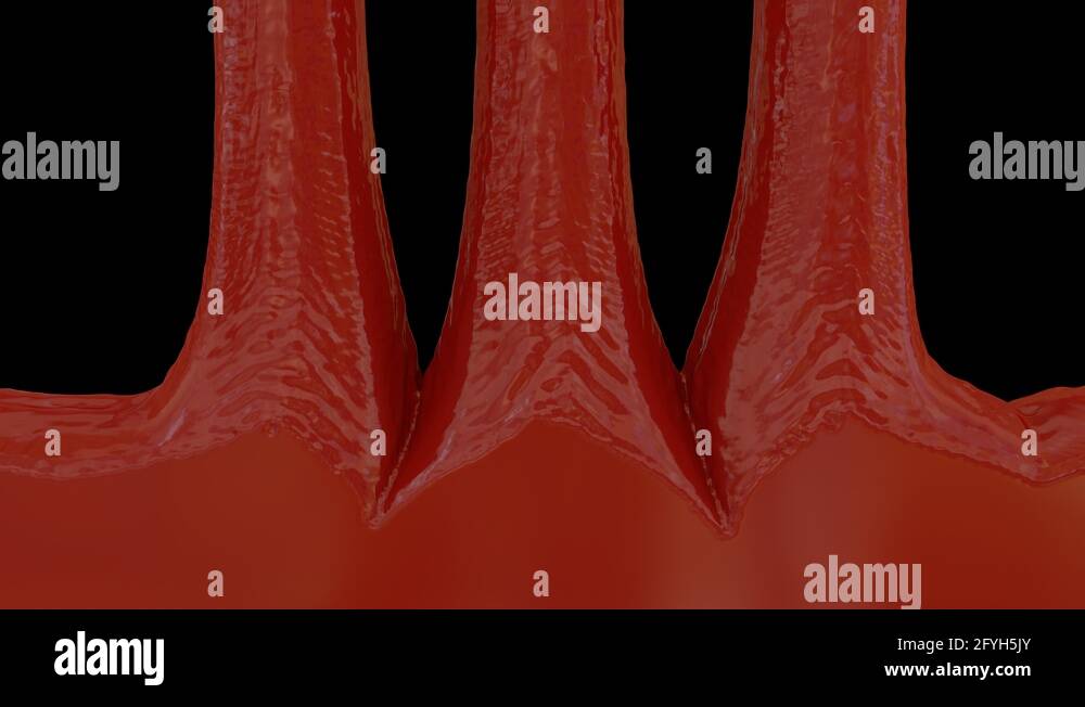 Animated pouring realistic ketchup with three inflows Stock Video ...