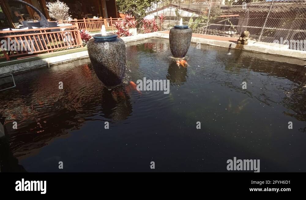 Koi pond with tranquility fountains at the Chaya Resort and Spa, with ...
