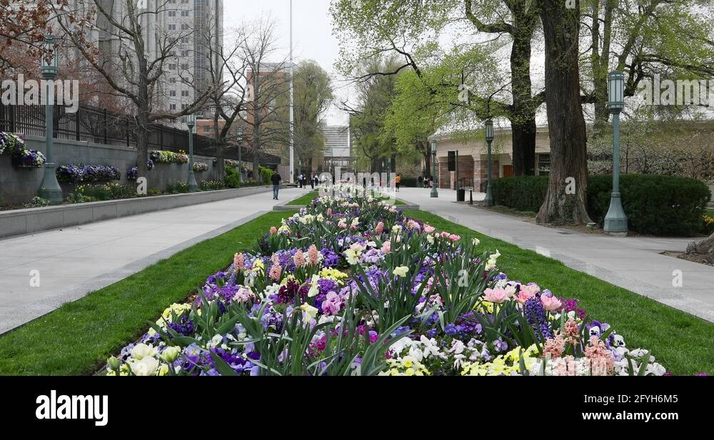 Square spring Stock Videos & Footage - HD and 4K Video Clips - Alamy