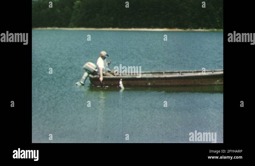 Invasive line Stock Videos & Footage - HD and 4K Video Clips - Alamy