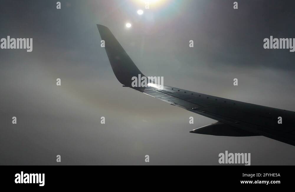 Ring wing Stock Videos & Footage - HD and 4K Video Clips - Alamy