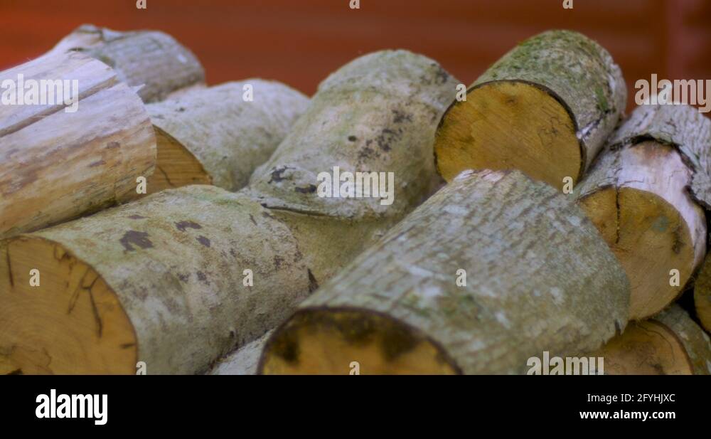 Log rounds Stock Videos & Footage - HD and 4K Video Clips - Alamy