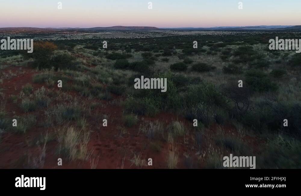 Arid grasslands Stock Videos & Footage - HD and 4K Video Clips - Alamy