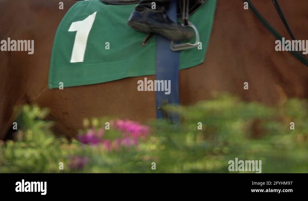 Jockey horse walk Stock Videos & Footage - HD and 4K Video Clips - Alamy